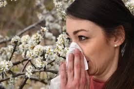 Les allergies au pollen sont de retour. - Natuphyt